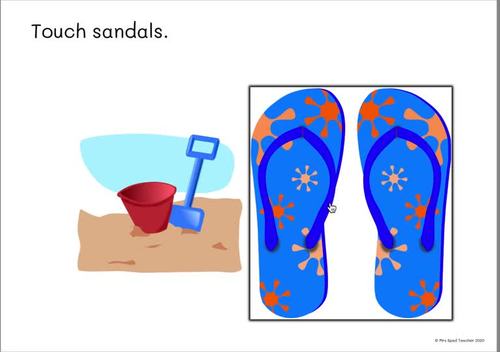 Receptive Language Summer Field of 2 to errorless #11 by Mrs Sped Teacher