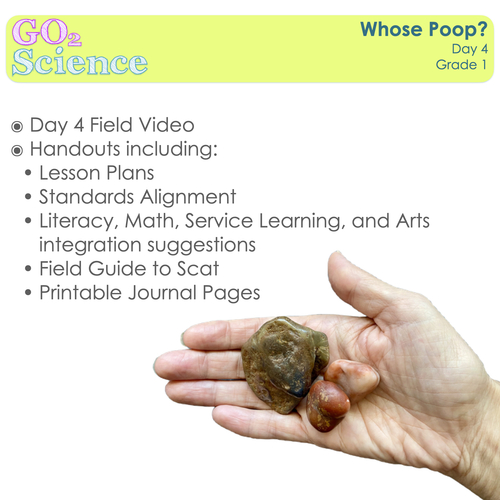 Mission Dinosaur Day 4 (Grade 1) by Go2Science | TPT