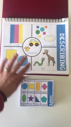 HUGE Preschool Speech Therapy Behavior and Language Visuals by Anna Dee SLP