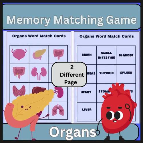 Organs, Science Games, Cards, Matching, Memory, Center, Game by ...