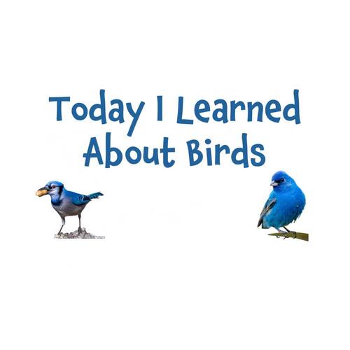 Life Science Books | Birds & Animal Adaptation & Fact Activities, Bird ...