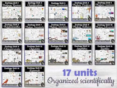Zoology Curriculum Complete Course Bundle | PPT Slides, Notes ...