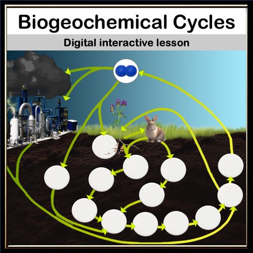 Biogeochemical Cycles: Nitrogen, Sulfur & Phosphorus – Interactive Lesson