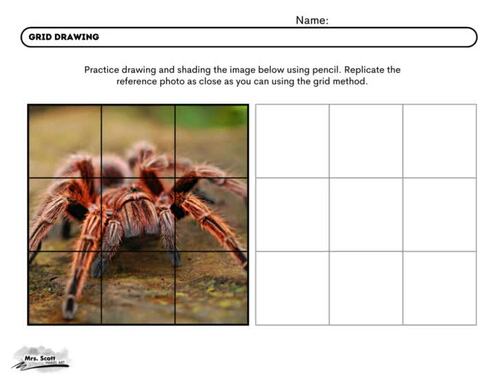 Grid Drawing Art Worksheets - Bugs & Insects 20 Pages - 6-12th Grade