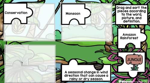 Rainforest Biome | Puzzle Sort | Digital Activity | Task Cards | ESL