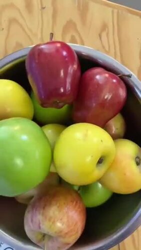 Apple Preference Activity: A Fun Opinion Writing & Data Collection Lesson