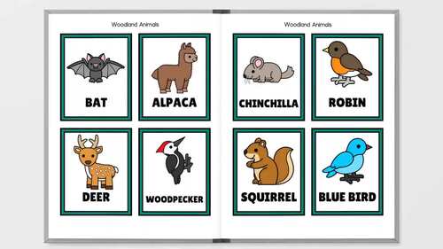 Animal Habitat Flashcards Kindergarten by Crafted with Bliss by Teacher Pia