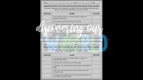 Respiratory System | Slides, Notes, Lesson & Quiz by Discovering Our World