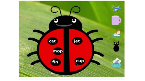 Ladybug CVC Words Boom Cards by Teacher's Pride | TPT
