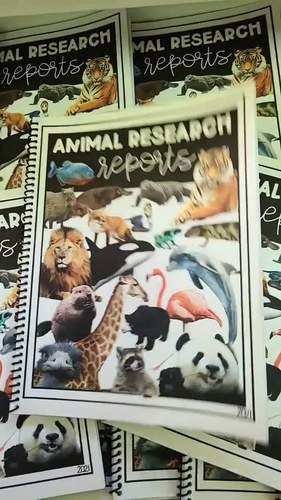 Animal Research Report | 3rd grade 4th grade 5th grade by Kaylynn's Place