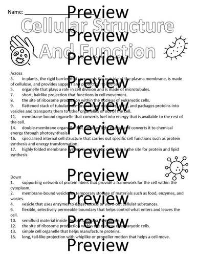 Cell Organelle Vocabulary Puzzle Biology by Secondary Science HQ