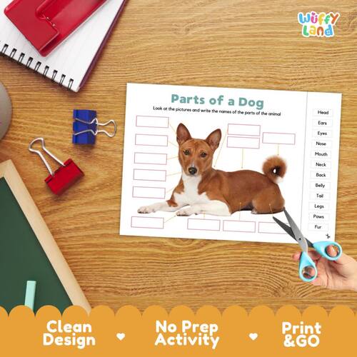 Parts of a Fish Diagram | Fish Anatomy Cut and Paste Labeling Activity