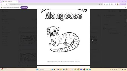 All About the Mongoose Activity Book - Animals of Hawaii Series | TPT