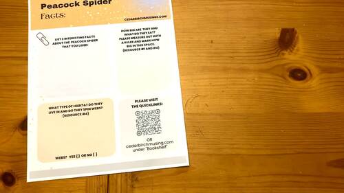 Peacock Spider Animal Unit Study by Cedarbirch Musings | TPT