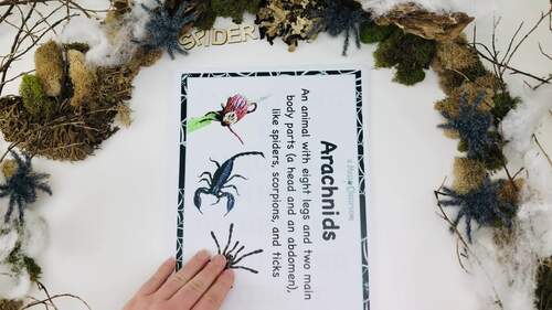 Spider Arachnid Diversified Nonfiction Reading Vocabulary Lesson RI.2.4 ...