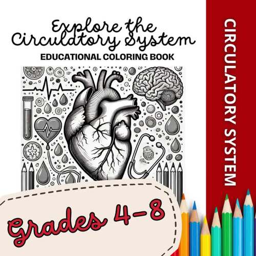 Circulatory System Activities –Coloring Pages, Label the Heart, Heart ...
