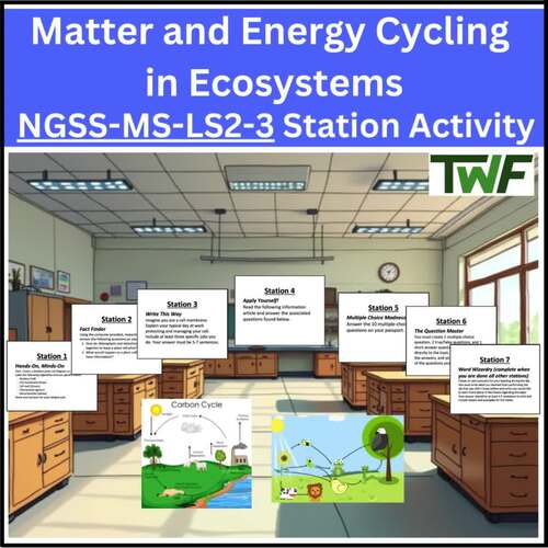 Matter and Energy Cycling in Ecosystems - Station Activity - NGSS-MS-LS2-3
