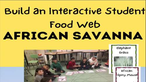 Build an Interactive STUDENT FOOD WEB! Food Chain Activity AFRICAN SAVANNA