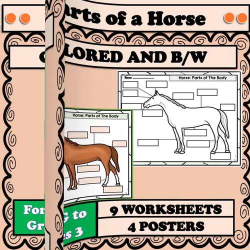 Horse Labeling Body Parts Worksheet Writing Graphic Organizers Farm ...