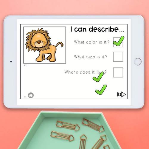 I Can Describe - Describing Basic Pictures Print and Boom cards | TPT