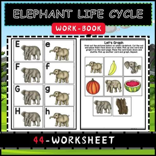 Printable Elephant Life Cycle Worksheets by Lib Anatomy school | TPT