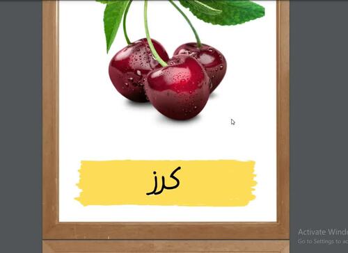 REAL FRUITS ARABIC FLASHCARDS - ARABIC CARDS - ARABIC MONTESSORI