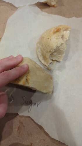 Anaerobic Fermentation - Bread Yeast Fermentation Lab | TPT