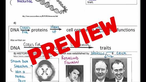 Living Environment / Biology- Genetics and Biotechnology Notes Packet ...