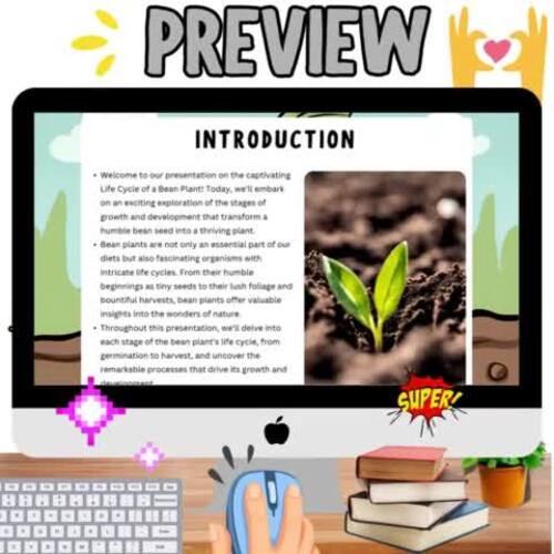 Life Cycle of a BEAN PLANT PowerPoint & Google Slides Lesson, 3rd 4th ...