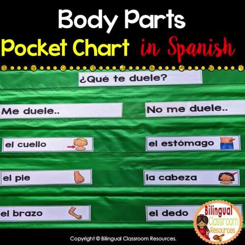 ¿Qué te duele? Pocket Chart - Las Partes del Cuerpo (Body Parts in Spanish)