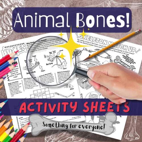 Animal Bones Activity Sheets! Fun Facts, Matching, Crossword + More!