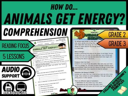 How Animals Get Energy | Reading Comprehension | Year 3 and 4 | TPT