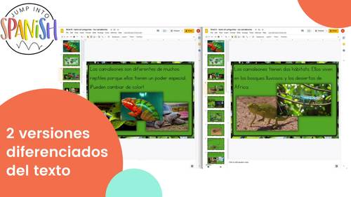 Spanish Informational text - Chameleons - Dual Language Science - ciencia