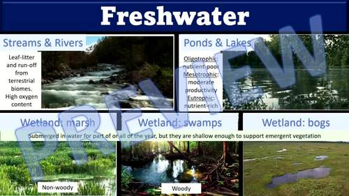 AP Environmental Science Aquatic Biomes and Human Impact Lesson Plan BUNDLE