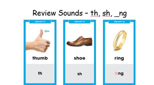 Benchmark Florida Unit 4 and Unit 5 Review Week - 1st Grade by Alexis ...