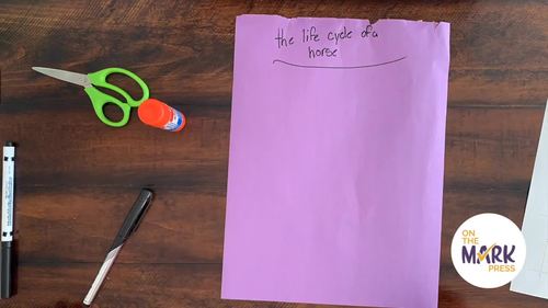 Animal Life Cycle Photo Cards Google Slides Distance Learning | TPT