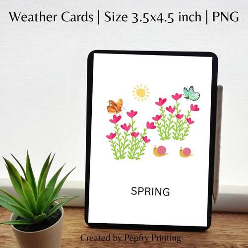 Weather Flash Cards Color, Activity |Weather, Seasons| Kindergarten