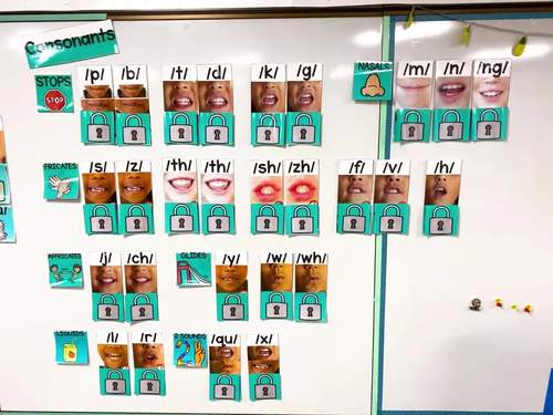 Sound Wall with Real Mouth Pictures Science of Reading Aligned | TPT