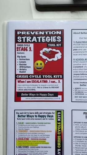 ESCALATION PREVENTION STRATEGIES - Visual Lesson Flip Cards | TPT