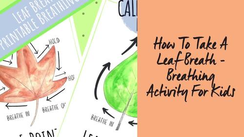 Mindful Nature Breathing - Leaf Breaths Activity - Spring and Autumn ...