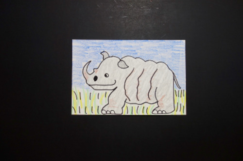 Let's Draw a White Rhinoceros in a Savannah Biome! by Patty Fernandez ...