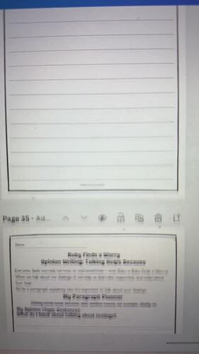 Ruby Finds a Worry Activities & SEL Unit & Reading Comprehension ...