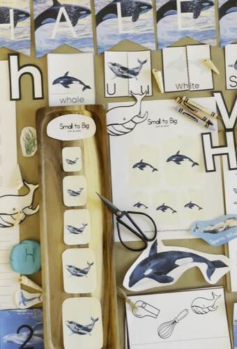WH is for Whale Learning Pack by For the Love of Homeschooling | TPT