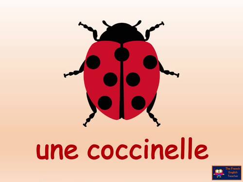 LE PRINTEMPS - POWERPOINT on basic spring vocabulary in French | TPT