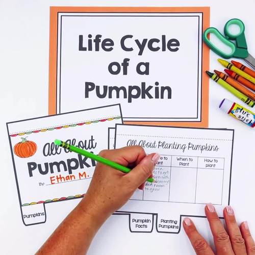 Pumpkins Mini-Book and Life Cycle of a Pumpkin Poster Set | TPT