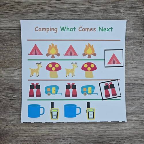 Camping What Comes Next by HH Fun and Learning | TPT