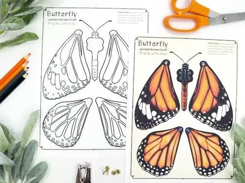 Butterfly | Jointed Animal Craft | Articulated Craft | Butterflies