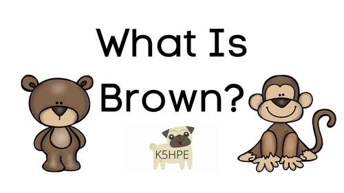 What Is Brown? Identifying Objects by Color, Video and SLIDES | TPT