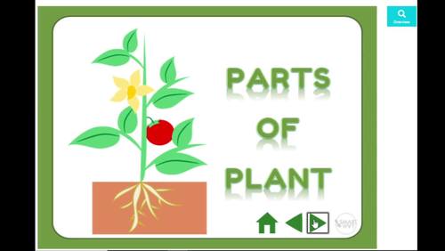 Parts of Plant and Needs of Plant | Boom Cards | Version 2 by Smart Way