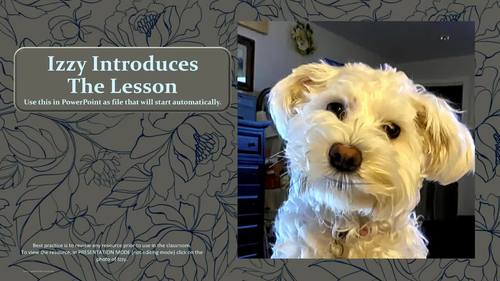 Stranger Danger Internet & Personal Safety Rules No Prep SEL Lesson w 4 ...